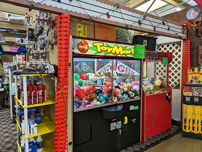 The claw machine—where hope springs eternal and stuffed animals wait patiently for the lucky grip that will finally set them free.
