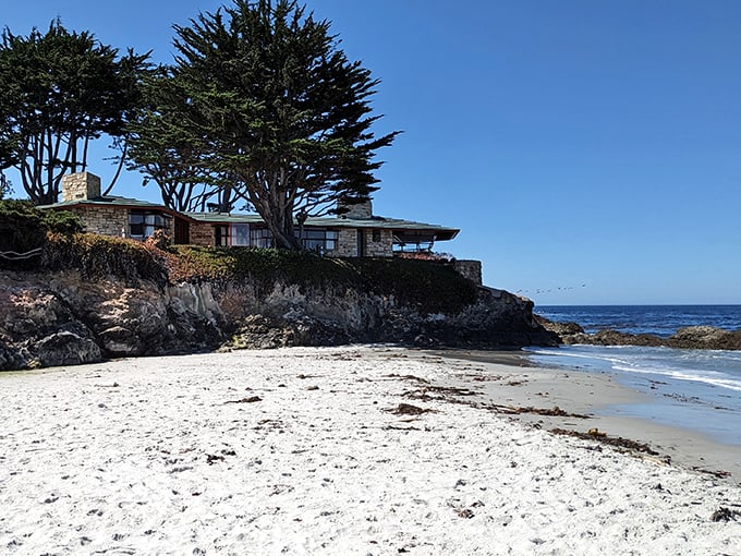 Perched between rock and sea, this coastal home embodies the California dream—living on the edge, literally and figuratively.