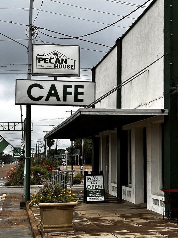 Local favorites gather at this cozy café where comfort food meets genuine community spirit.