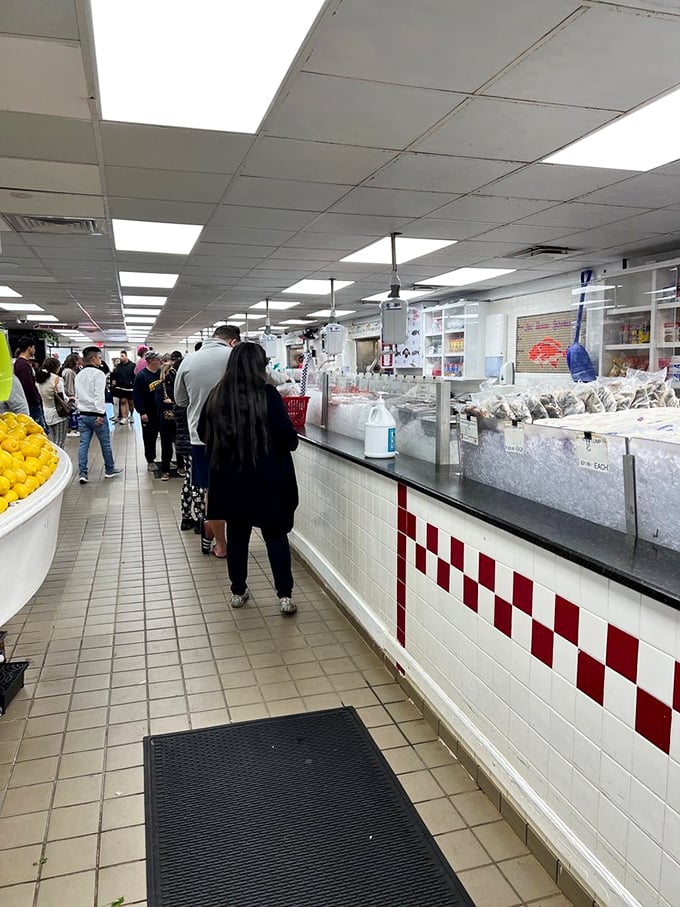 The patient wait for seafood excellence. That checkered tile floor has supported generations of seafood enthusiasts.