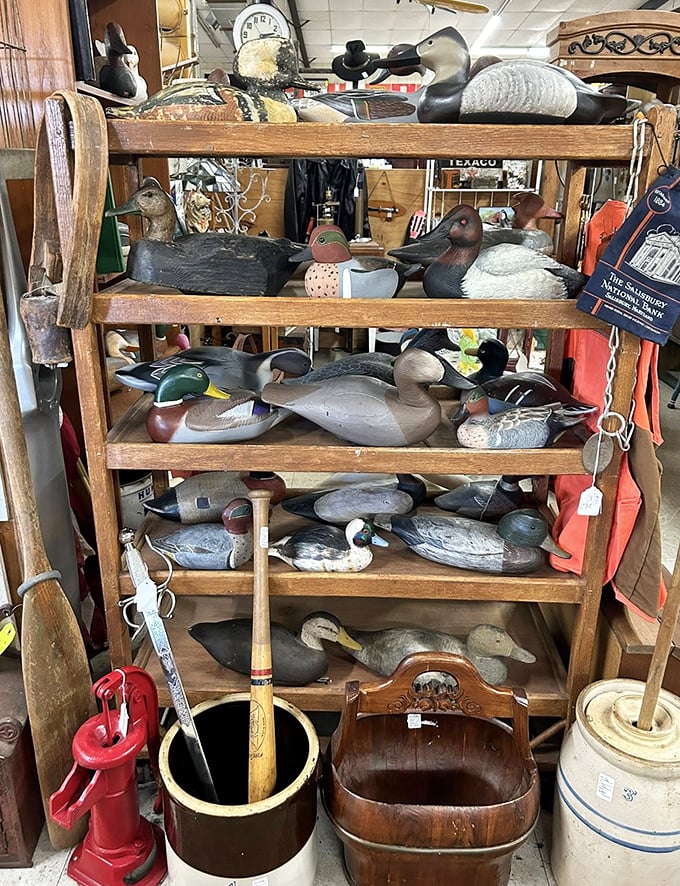 Duck decoys that have seen more sunrises than most of us. These wooden waterfowl aren't just collectibles—they're functional folk art.