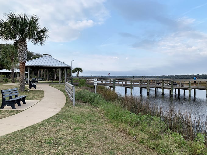 Nature's boardwalk invitation to slow down and notice the marshland magic—where every bench offers front-row seats to a constantly changing watercolor.