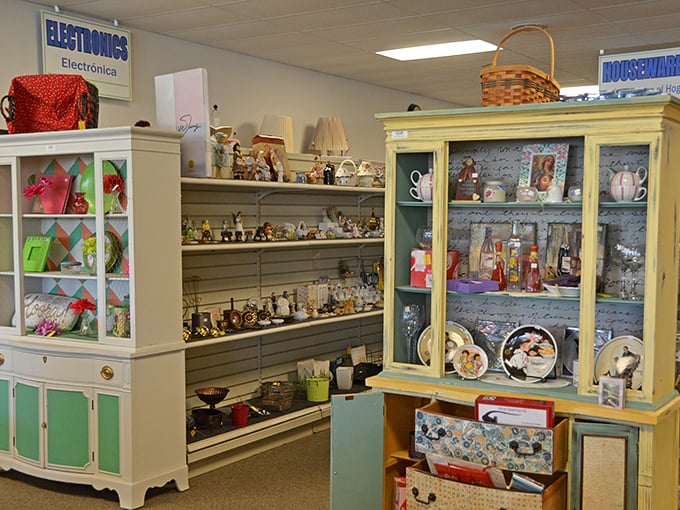 Curio cabinets filled with knick-knacks that spark joy and nostalgia. One person's decluttered shelf becomes another's treasured collection.