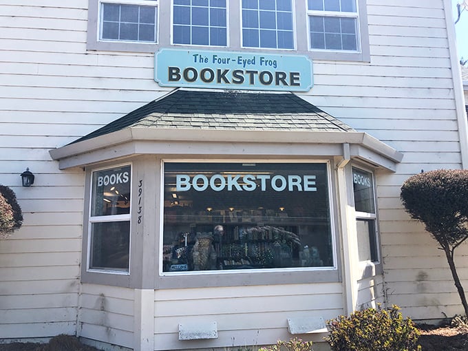 The Four-Eyed Frog Bookstore offers literary salvation in a digital world – browse actual paper books while fog rolls in outside.