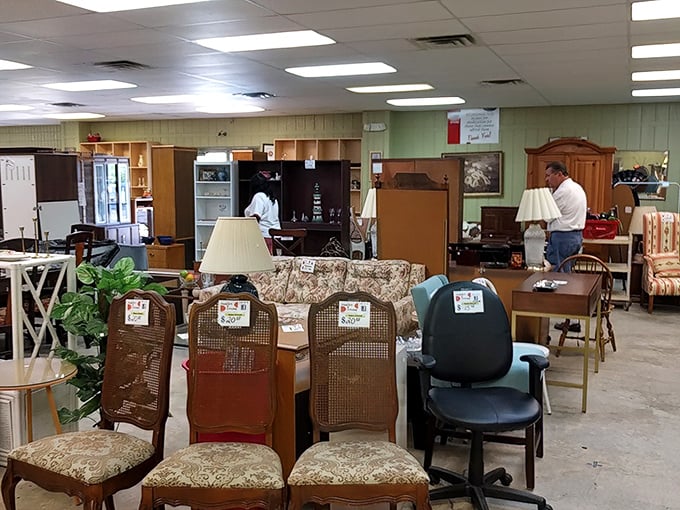 Furniture with stories to tell, arranged like a living room showroom from six different decades simultaneously.
