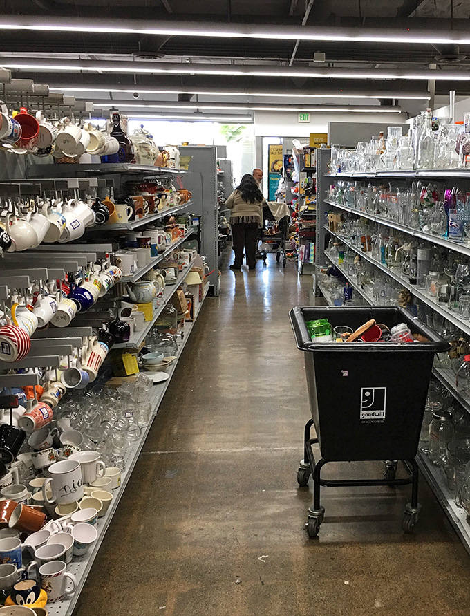Glassware galore – because mismatched sets have more character than anything from a department store.
