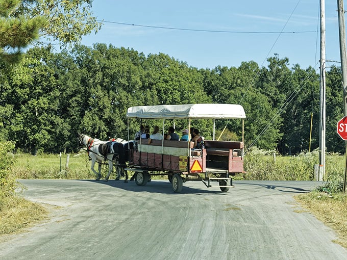 All aboard the original sightseeing tour—where the horsepower is actually just one horse, and the air conditioning is whatever breeze Tennessee provides.