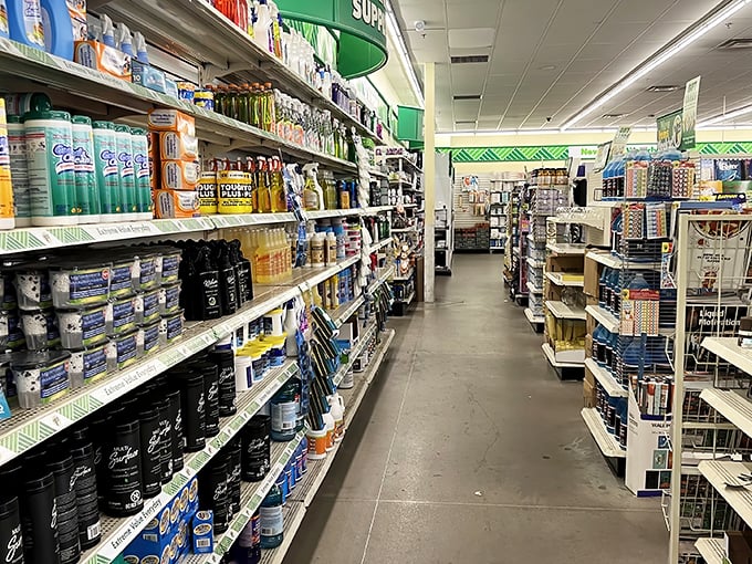 The household essentials aisle—where practical meets affordable in a dance as old as commerce itself.