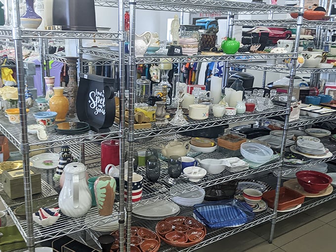 The housewares section – where someone else's "I don't need this anymore" becomes your "I've been looking everywhere for this!"