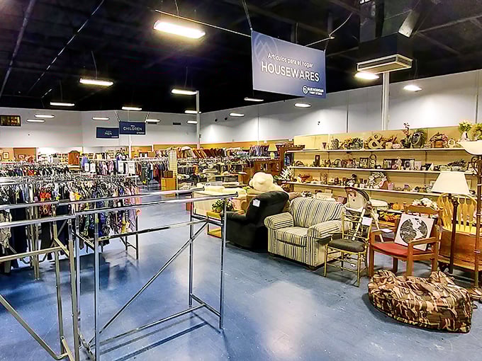 The housewares section: where you'll find the perfect lamp to replace the one your cat knocked over last week.