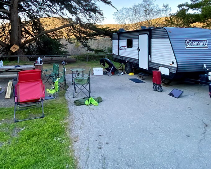 Camping at Islay Creek: where your morning coffee comes with a side of birdsong and your evening s'mores are paired with starlight.