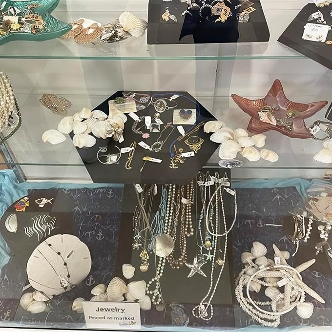 Seashells and sparkles share display space in this jewelry case—proof that one person's discarded accessories become another's statement pieces.