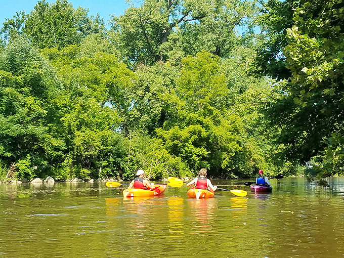 Kayaking the gentle Vermilion River—nature's version of a therapy session, but with better scenery and occasional turtle sightings.