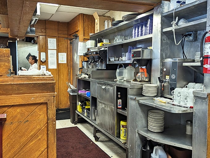 Behind every great restaurant is a kitchen where magic happens—stainless steel and decades of know-how creating edible memories.
