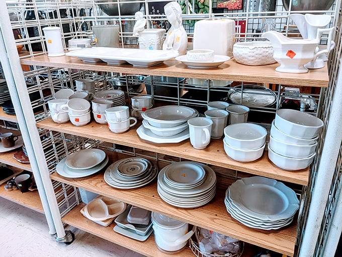 White dishware heaven—where mismatched becomes "eclectic collection" and dinner parties get an affordable upgrade.