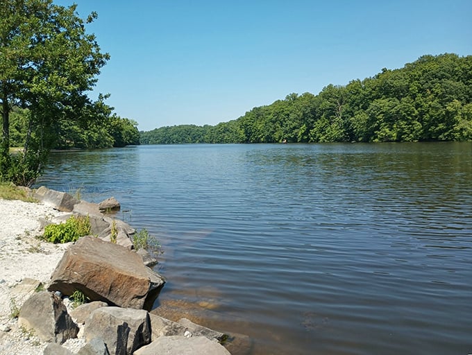 The lake's edge offers a front-row seat to nature's best performance – the gentle meeting of water, stone, and forest.