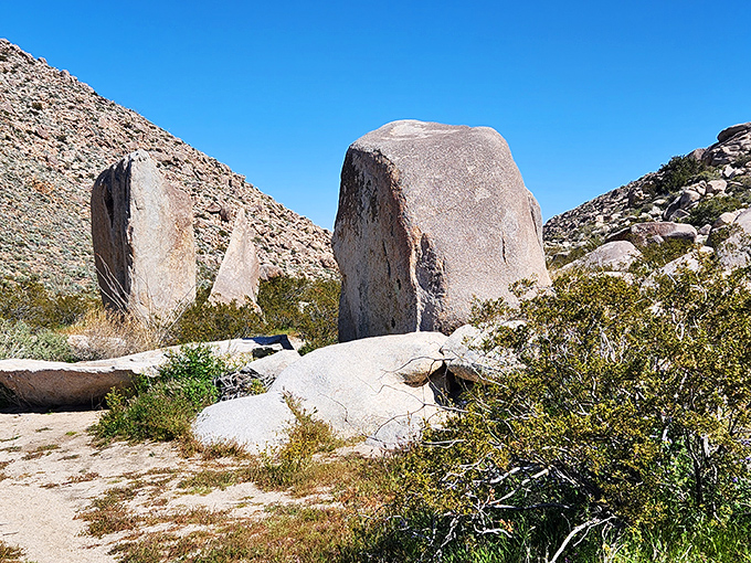 Nature's own meditation stones. These massive boulders have been practicing stillness for millennia – the original zen masters.