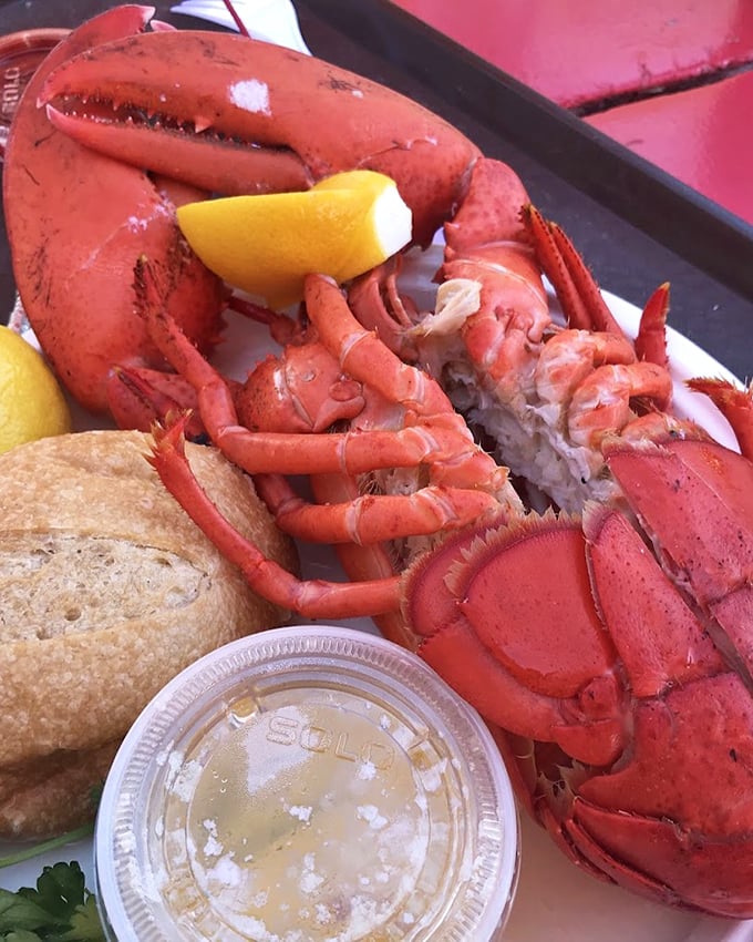 Lobster tails deserve respect – prepared simply to let natural sweetness shine through without unnecessary culinary complications or pretense.