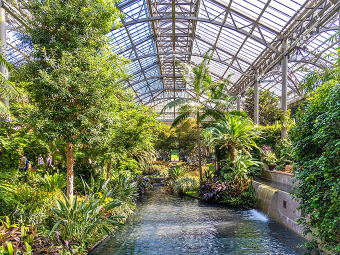 Longwood's Conservatory creates a tropical vacation without the TSA pat-down—lush greenery, flowing water, and humidity that's actually welcome.