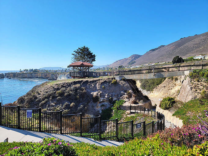 Margo Dodd Park's clifftop gazebo offers the perfect proposal spot – or just a place to contemplate how small we are against that endless blue horizon.