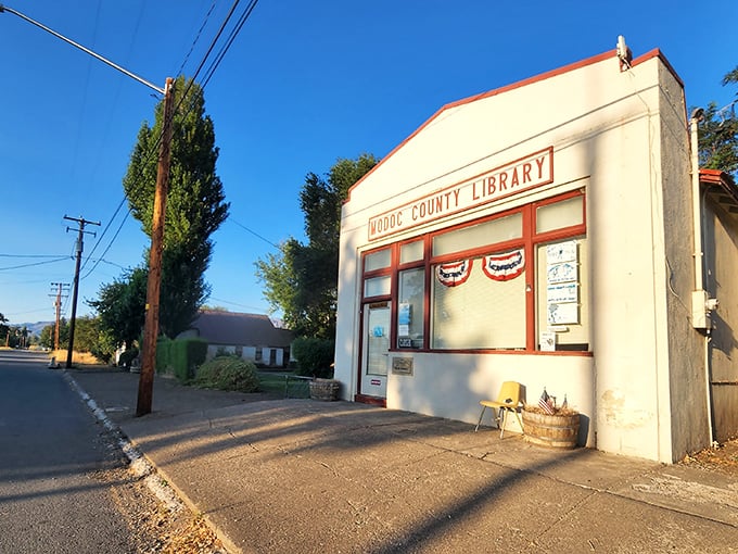 The Modoc County Library may be small, but inside those walls are worlds waiting to be explored—no Wi-Fi password required.