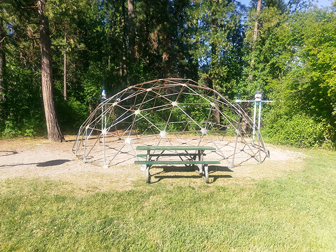 The geodesic dome at Mount Shasta City Park isn't just Instagram-worthy—it's where picnics level up from casual meals to memorable experiences.