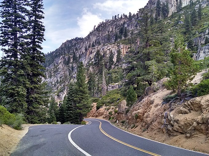 The winding roads through Calaveras County reveal dramatic vistas where pine-studded mountains rise majestically from the Sierra foothills.