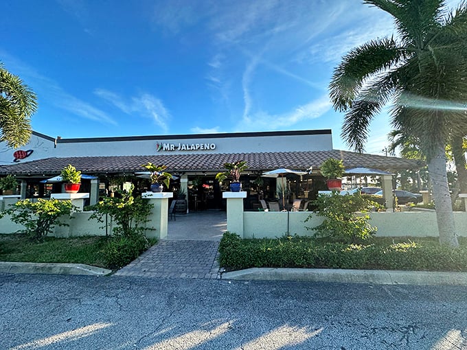Mr. Jalapeño's inviting patio promises authentic flavors and tropical ambiance—where margaritas and palm trees create the perfect Florida evening.