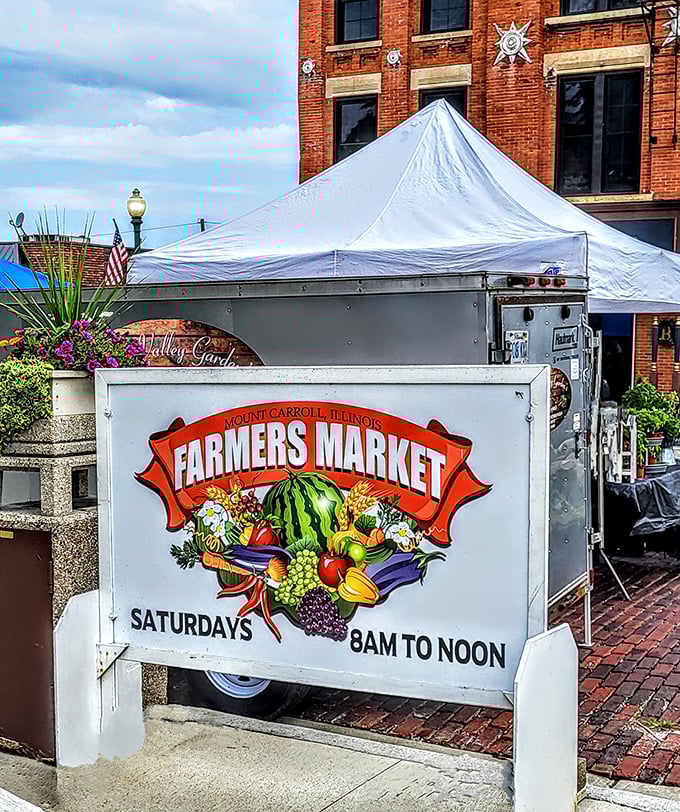 Saturday mornings in Mount Carroll mean farmers market treasures—where the produce traveled miles, not continents, to reach your reusable shopping bag.