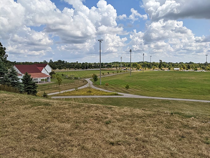 Mulberry Fields offers expansive green space where community sports and solitary contemplation share the same perfectly maintained turf.