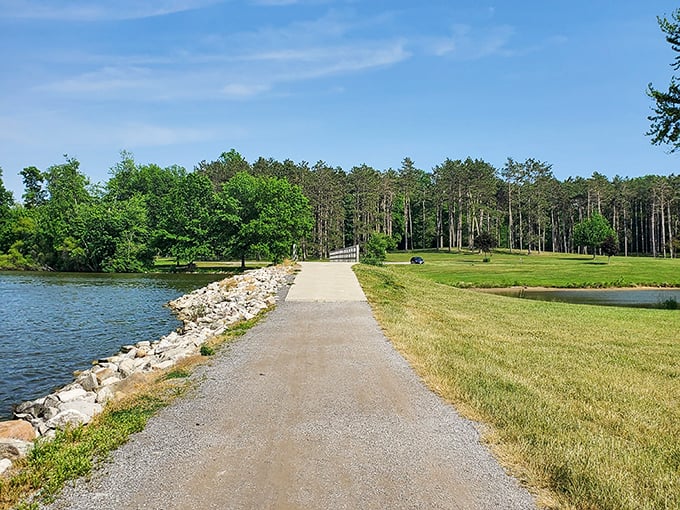 Norwalk Reservoir's peaceful walking path offers million-dollar views without the admission fee – nature's therapy session at a price everyone can afford.