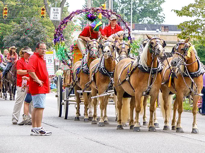 The Oil Festival parade brings horsepower of the original variety—six magnificent steeds pulling more pride than any sports car could.