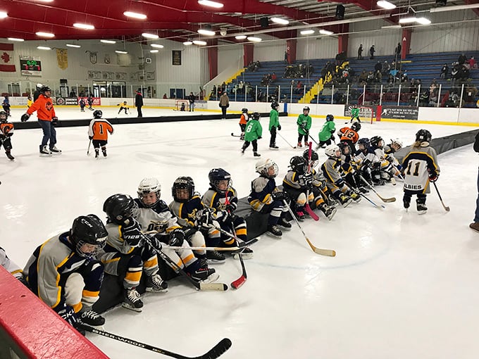 Youth hockey in full swing at the Sportsplex. These kids aren't just playing—they're auditioning for their future starring roles in Tim Allen's Michigan tourism commercials.