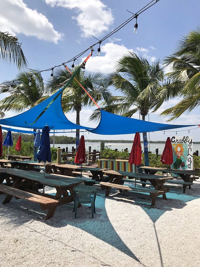Picnic tables under blue canopies—because sometimes the best dining rooms have no walls, just sea breezes and palm trees overhead.