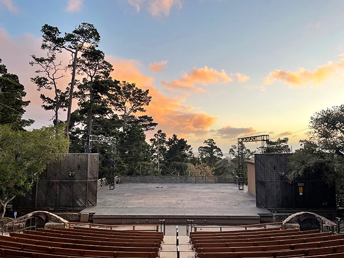 The Forest Theater brings Shakespeare and starlight together in perfect harmony – no bug spray required, but bring a blanket.