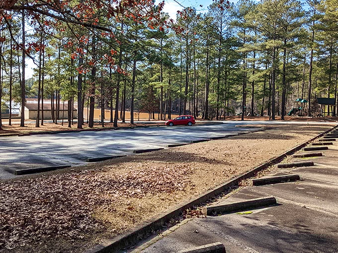 Even the parking lot here has lake views – because apparently this place doesn't believe in doing anything halfway.
