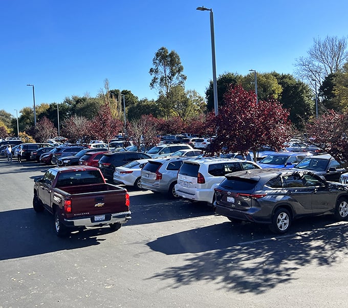 The packed parking lot tells the true story – when Californians vote with their wheels, Petaluma Village Premium Outlets clearly wins the popular vote.