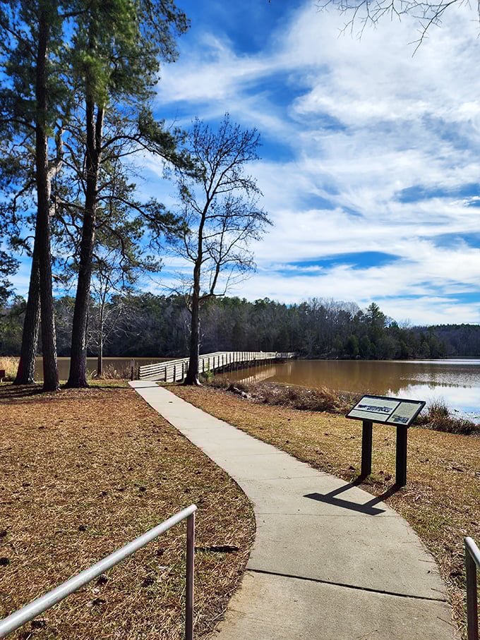 Winter reveals the park's bones—a wooden boardwalk stretching toward the horizon, promising solitude and contemplation for those who brave the off-season.