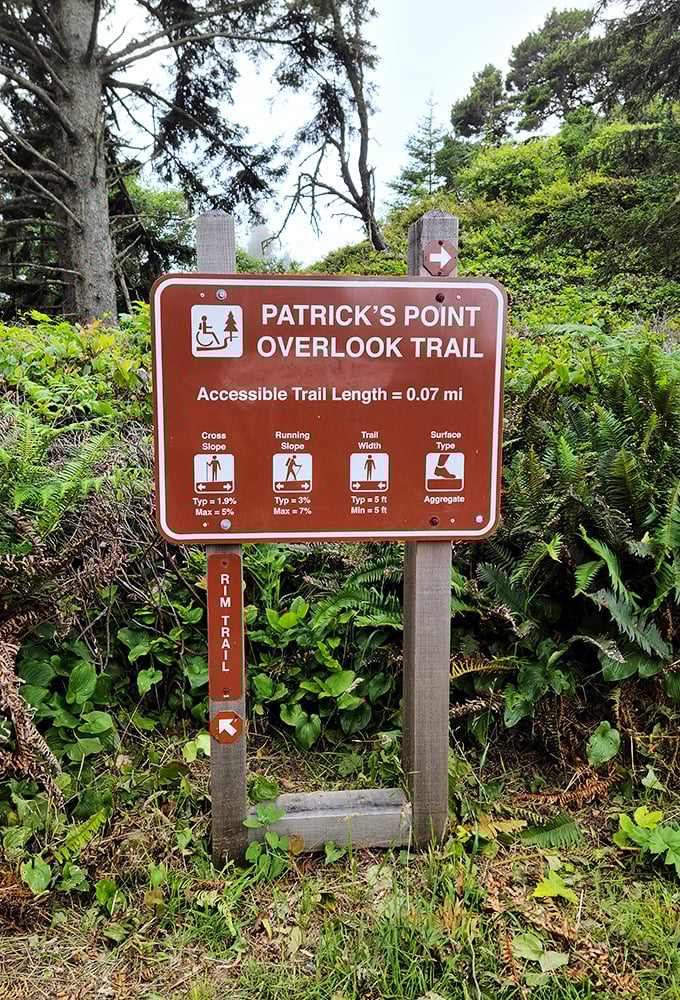 When accessibility meets incredible views, proving nature's best moments shouldn't require an Olympic fitness level.