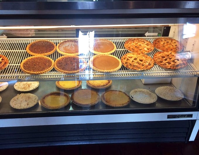Not a display case—a museum of American pie artistry where each specimen deserves its own appreciation plaque.