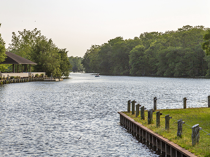 The Pocomoke River flows like liquid amber between green shores—a peaceful waterway where time seems to slow and nature takes center stage.