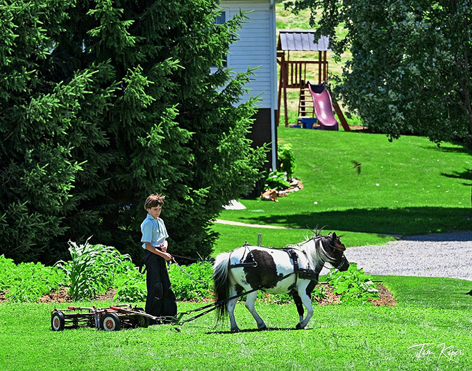 Childhood lessons in responsibility start early. This young teamster and his pony are the original dynamic duo of farm life.
