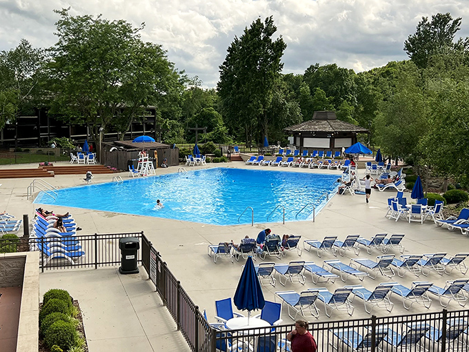 The lodge pool offers the perfect compromise for those who love water but prefer their swimming experiences chlorinated and shark-free.