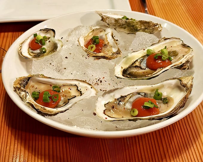 Fresh oysters on ice – nature's perfect appetizer dressed with just enough garnish to enhance without overwhelming their briny brilliance.