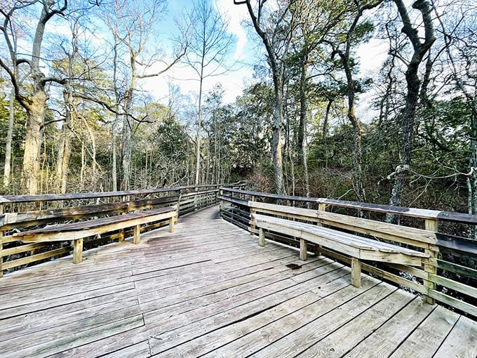 This wooden observation deck invites weary hikers to pause and ponder—nature's version of a living room with the world's best picture window.