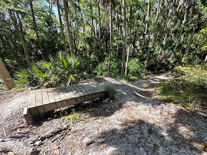 Nature trails that don't require oxygen tanks or mountain gear—just comfortable shoes and an appreciation for Florida's wild side.