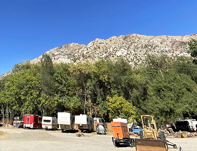 A lineup of vintage trailers against mountain backdrops—where nostalgia meets nature in a uniquely American display of outdoor living.
