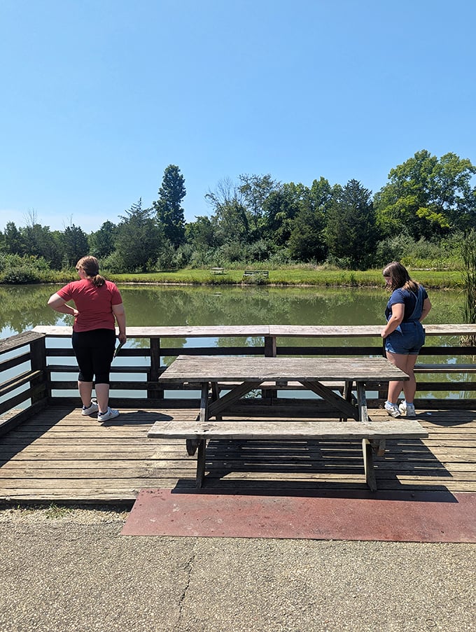 Contemplation deck with a view—where visitors ponder life's big questions while nature quietly provides all the answers.