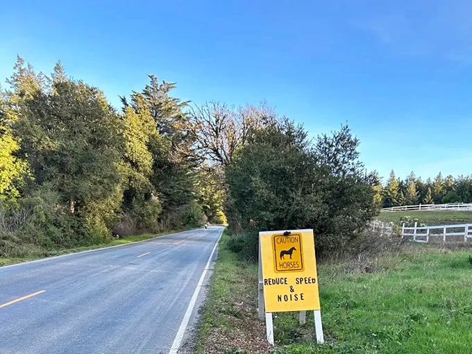 "Caution: Horses" – because the best scenic routes are shared with both horsepower under the hood and the four-legged variety enjoying country life.