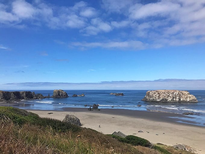 Bandon's famous sea stacks—nature's sculpture garden where every angle deserves its own postcard and every tide reveals new details.